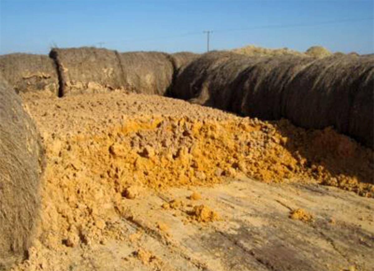 Burlanda Humeda - de Maiz- Proteina 26/28 % - $ 72.000 - Agroads