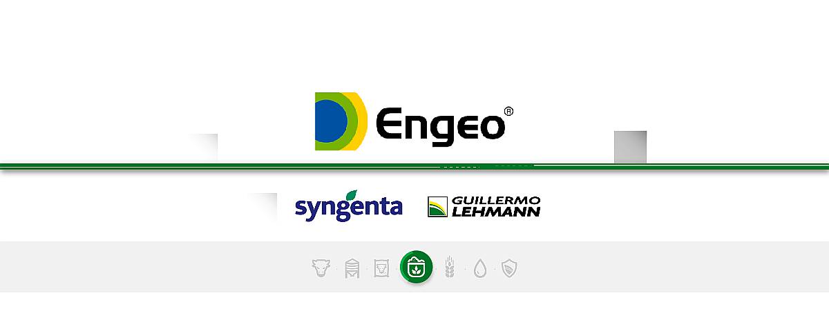 Engeo - Insecticida Syngenta - Agroads