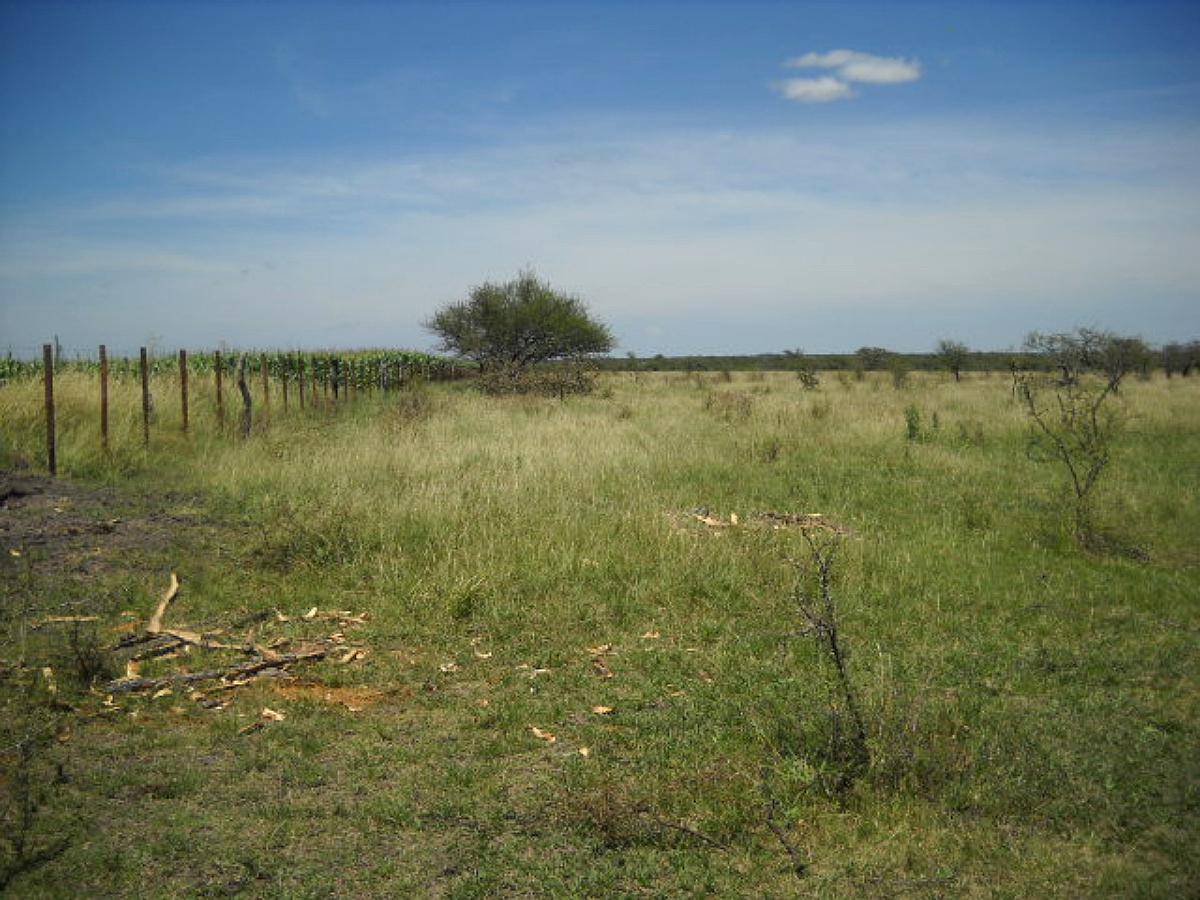 Entre Rios, Lucas Norte Vendo 300 Has Mixto - Agroads