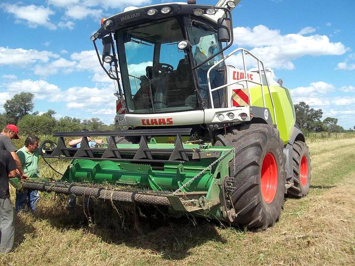 Recolector de Pasturas Adaptable Picadora Class - Año: 2020 - Agroads