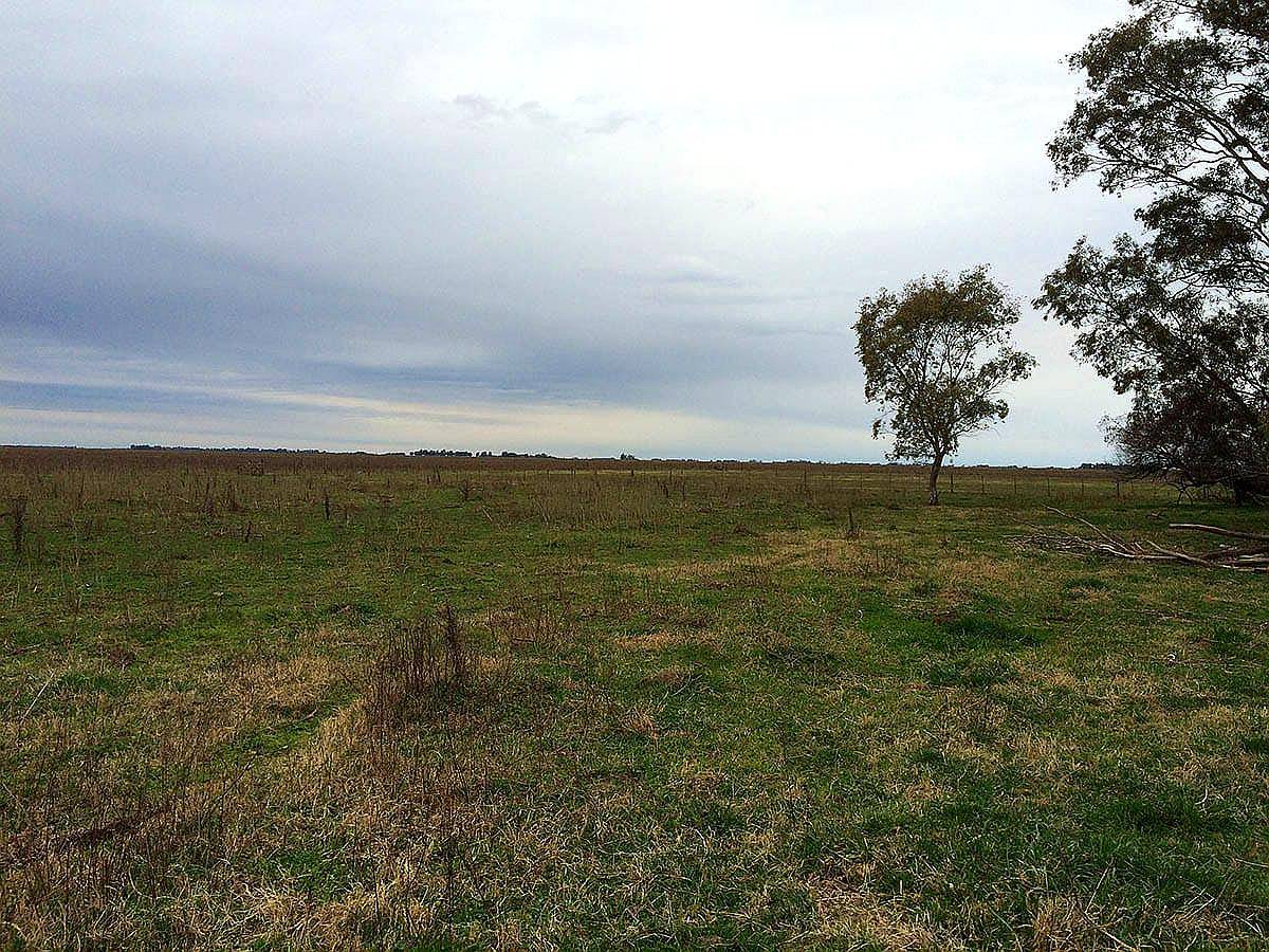 200 Hect Mixta Corvet (casares ) - u$s 4.000 / ha - Agroads