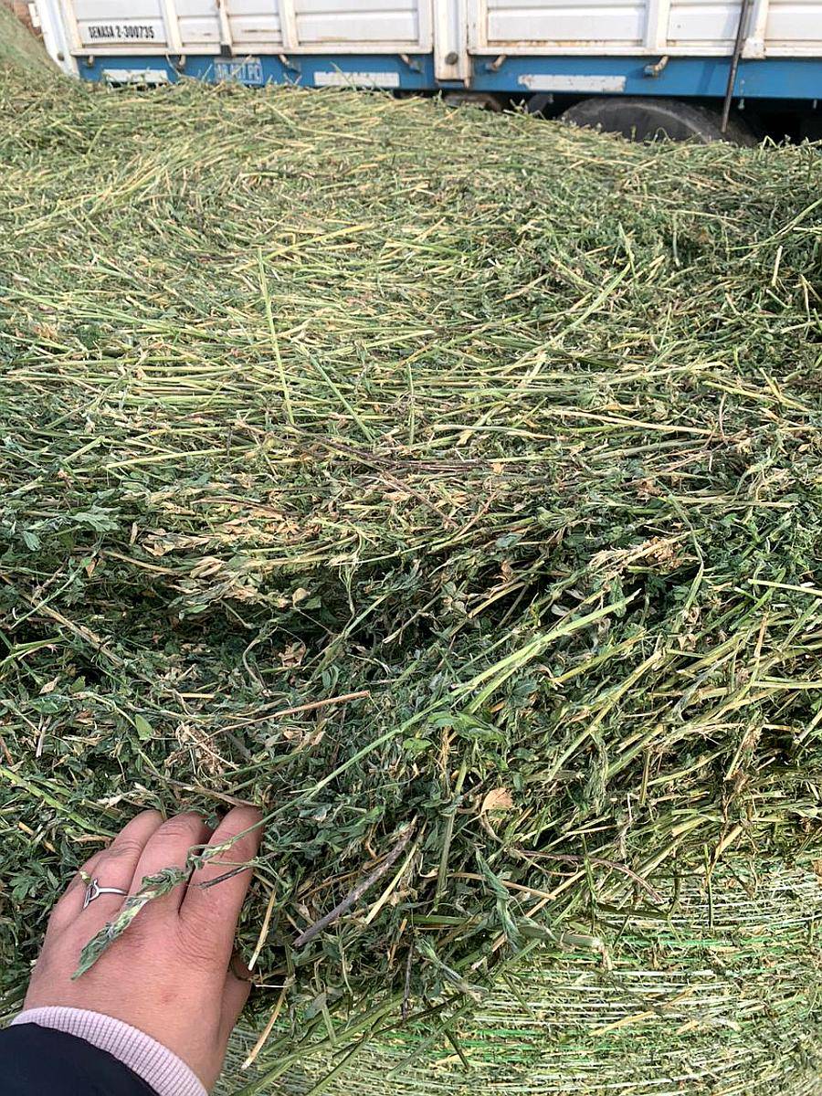 Rollos de Alfalfa Nuevos - $ 65.000 - Agroads