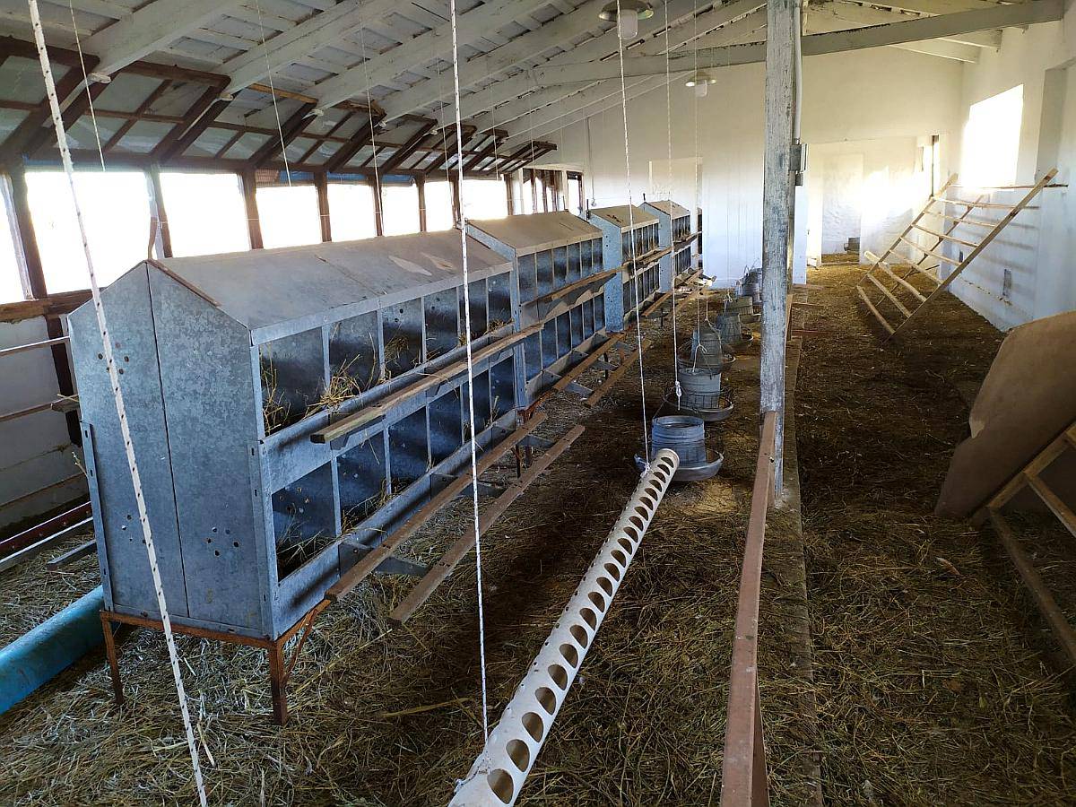 Nidales 24 Bocas con PIE P/ponedoras y Reproductores - Agroads