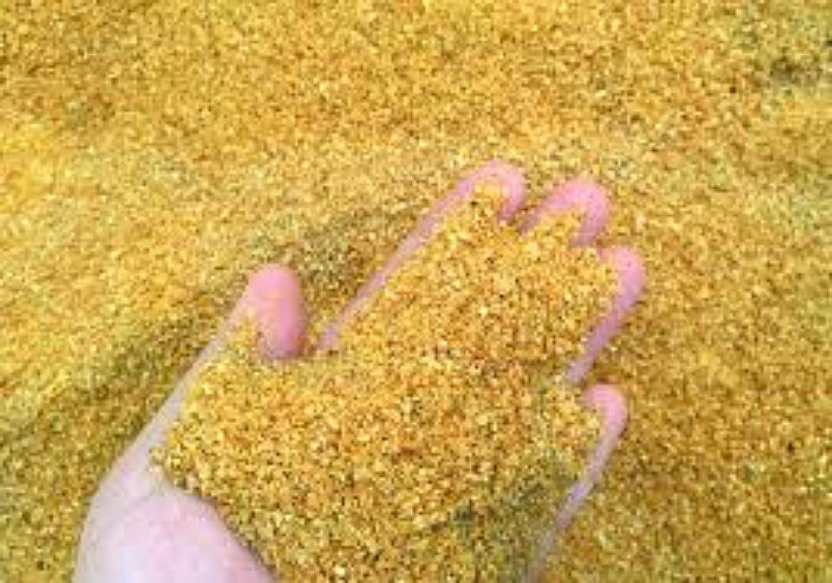 Burlanda Seca de Maíz (ddgs) - u$s 216 - Agroads