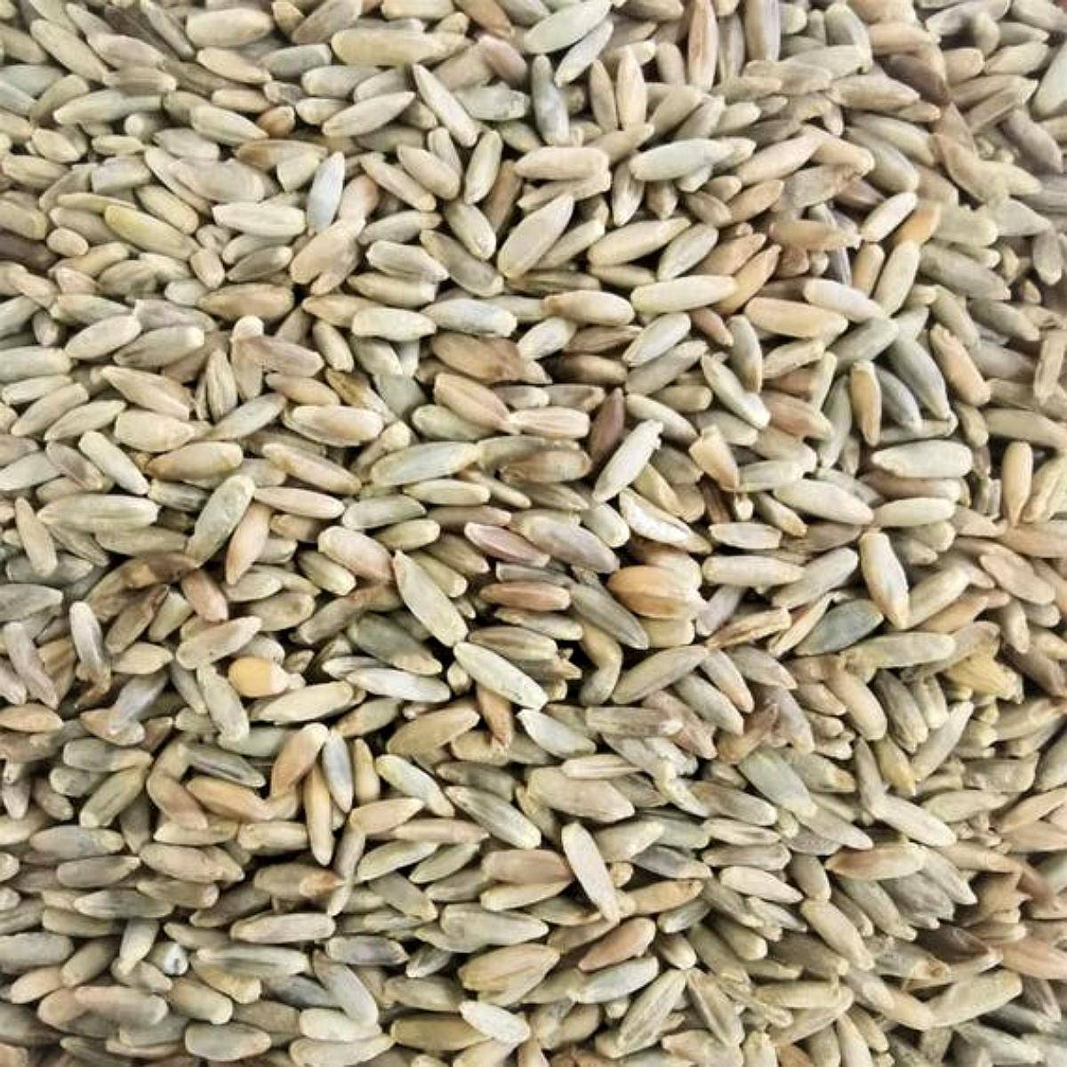 Centeno para Semilla, Cosecha Nueva - Agroads