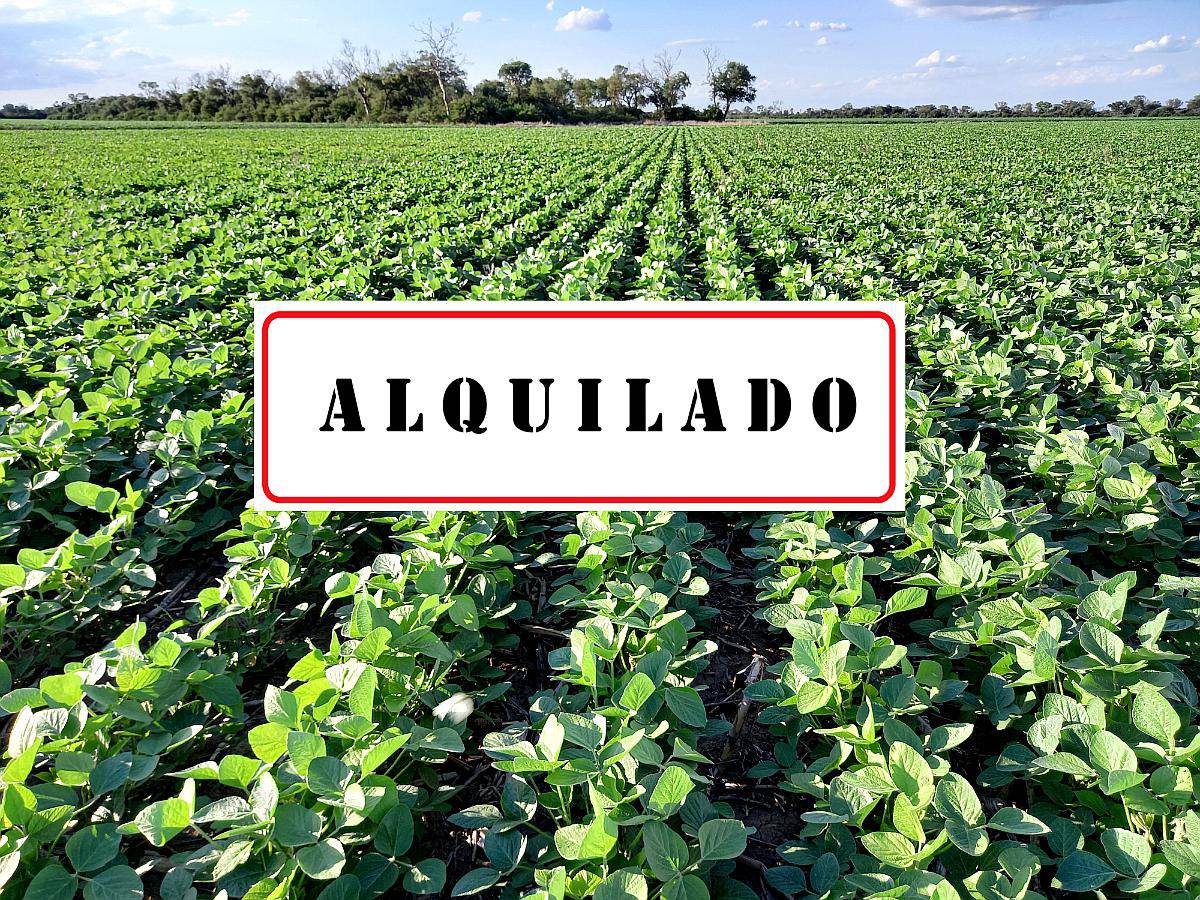62 Ha para Arrendamiento Agrícola en San Mariano. 62 hectáreas. - Agroads