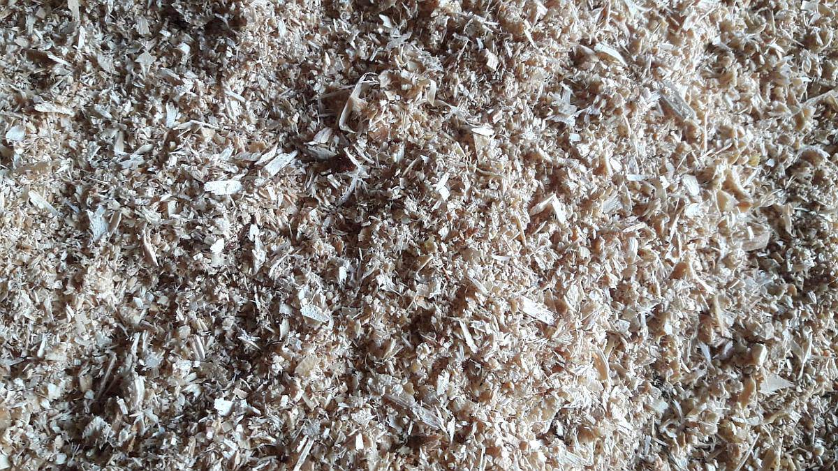 Aserrín Humedo de Pino - $ 1.283 - Agroads