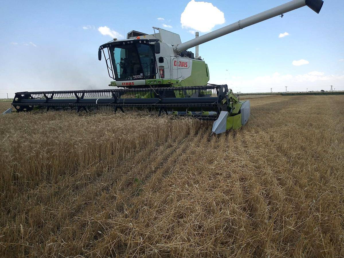 Cosechadora Claas Lexion, 740, año 2013, Plataforma 35 Pies - Agroads