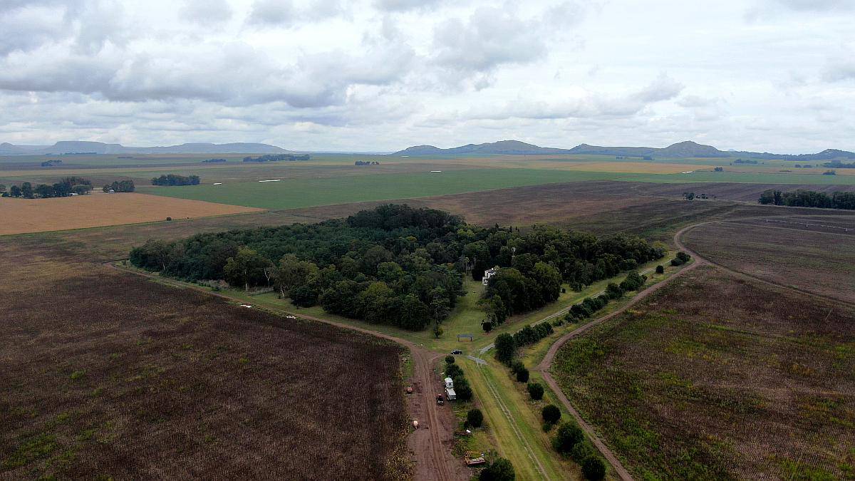 Partido de Balcarce - Agrícola - Venta. 350 hectáreas. - Agroads