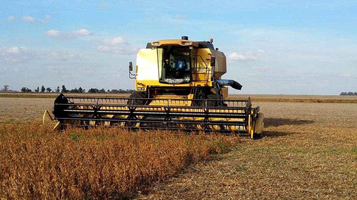 Cosechadora New Holland TD 5090 - con Mapeador - Año: 2008 - Agroads