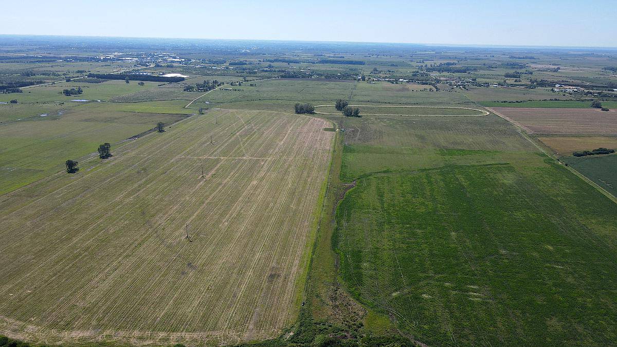 Campo - Haras en Venta, 370 Hectáreas, Gualeguaychú. - Agroads