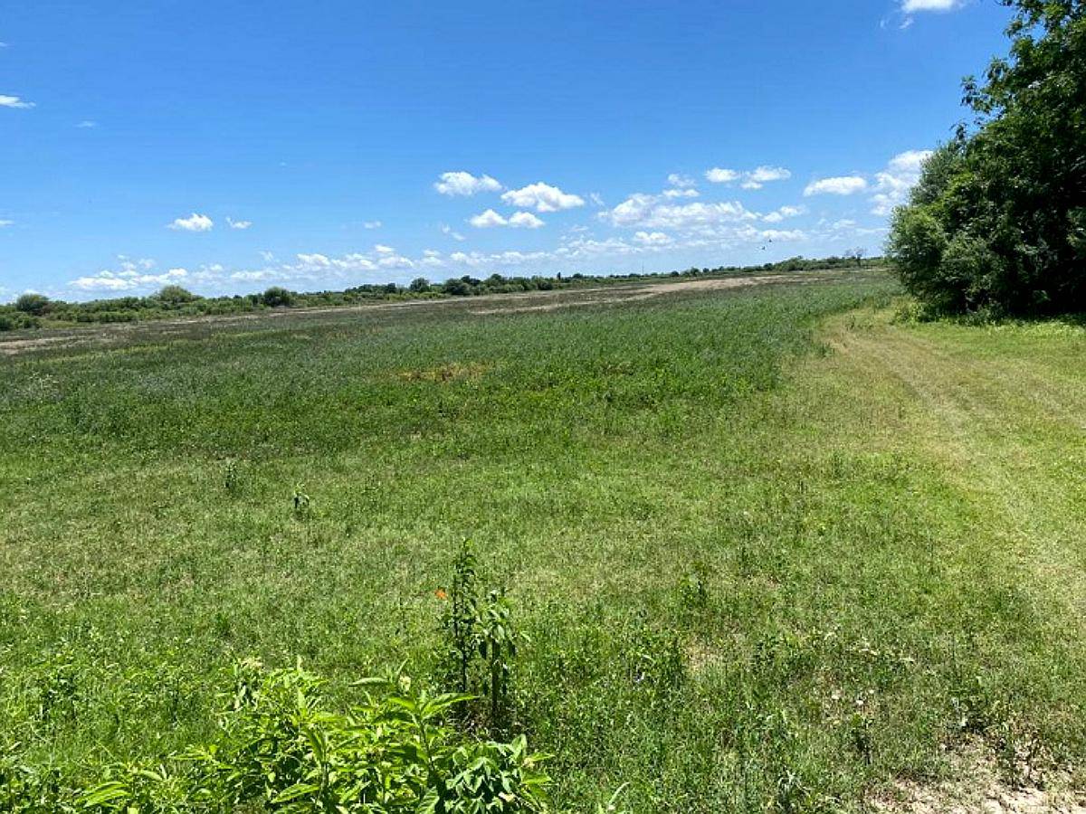 Vendo Campo Agricola Santiago del Estero - u$s 3.000 / ha - Agroads