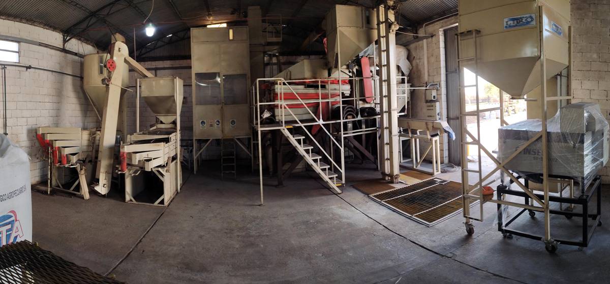 Planta Clasificadora de Maní en Grano o Legumbres - Agroads (cod: 886746)