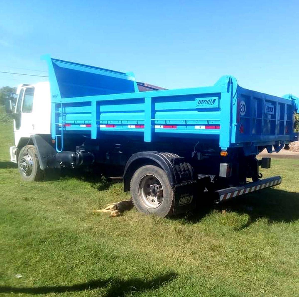 Excelente Camion Ford 1722 Volcador - Año: 2010 - Agroads