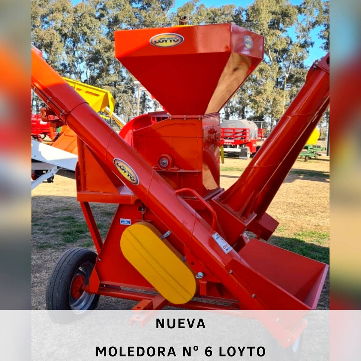 Moledora de Granos Combinada Nº6 AT Loyto - $ 2.533.800 - Agroads
