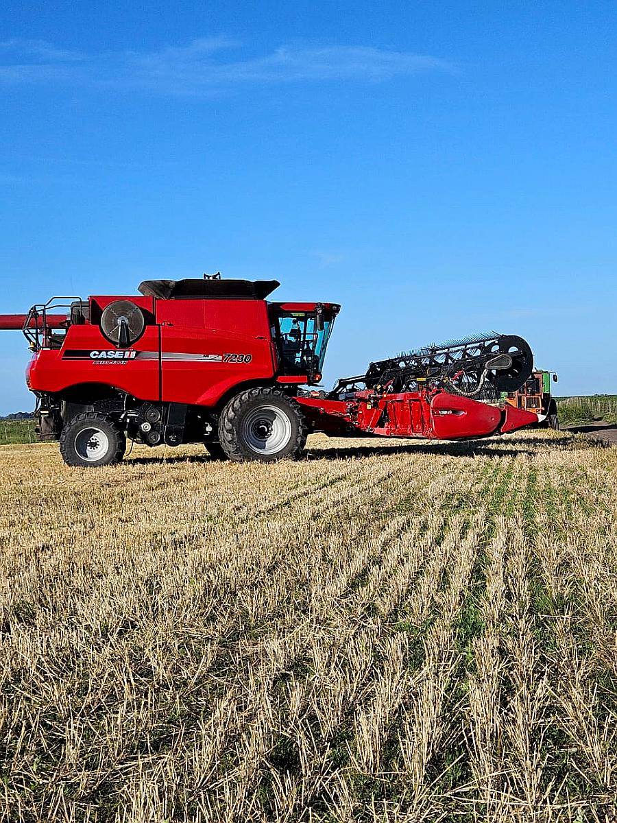 Cosechadora Case IH 7230 - Año: 2020 - u$s 450.000 - Agroads