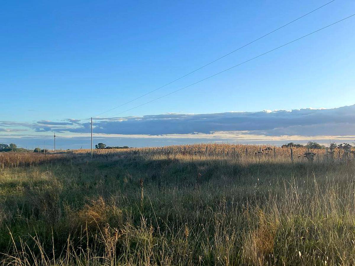 Chacra 21 Has 3km Ruta 56 Madariaga - $ 250.000 - Agroads