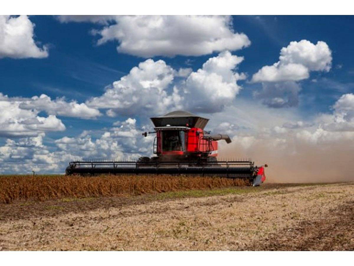 Cosechadora Massey Ferguson MF 9895 - Río Tercero - Agroads