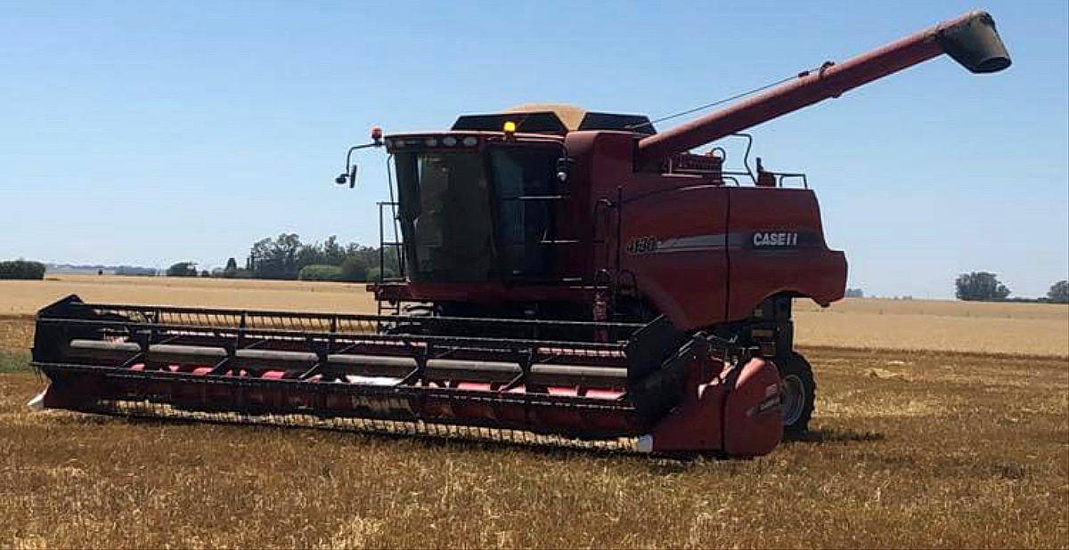 Case 4130 30 Pies - Año: 2018 - u$s 250.000 - Agroads