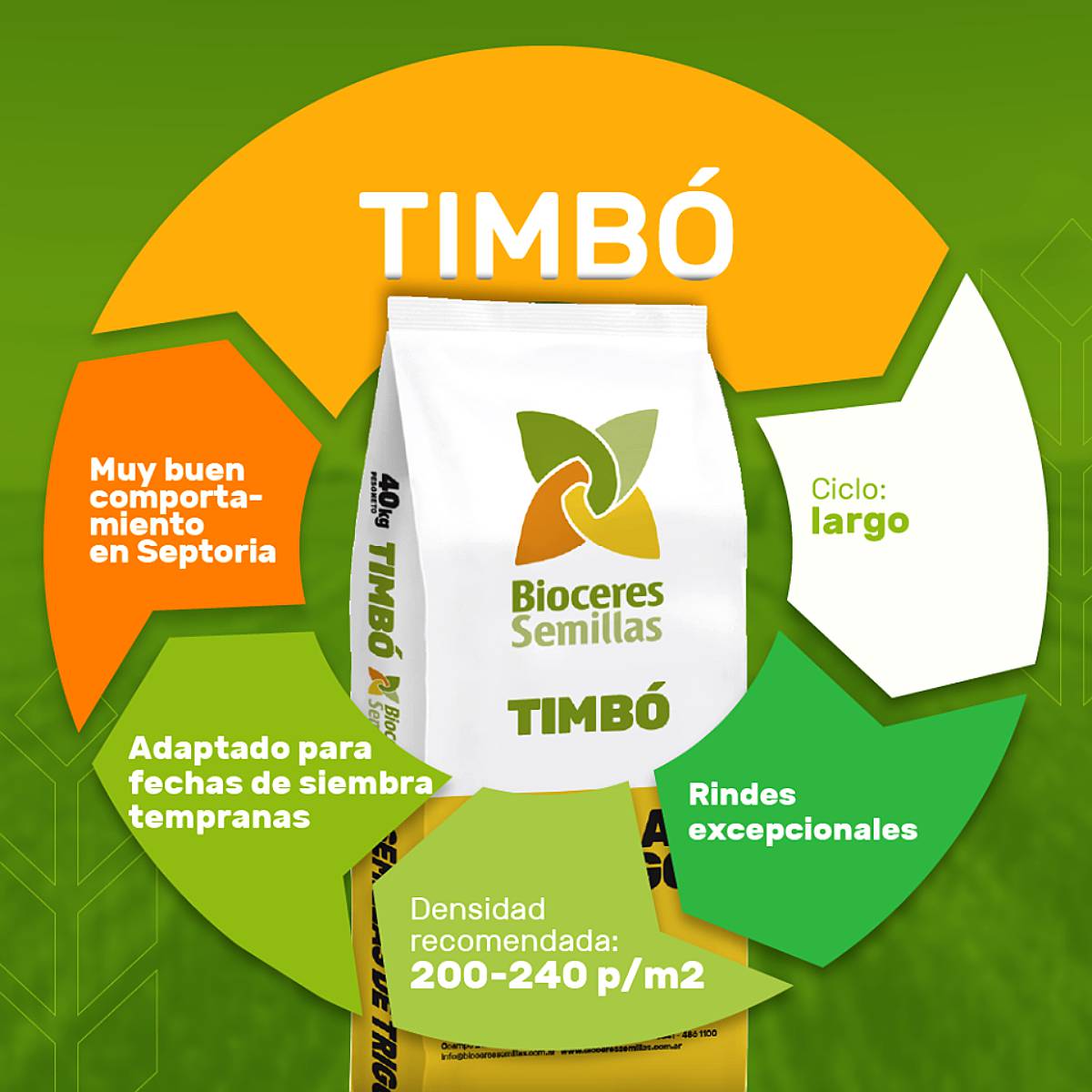 Semilla de Trigo Timbo - Bioceres - Agroads