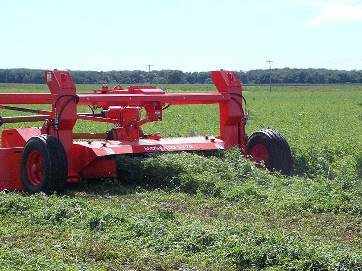 Segadora Moscato 3770 con Acondicionador Marca Yomel - Agroads