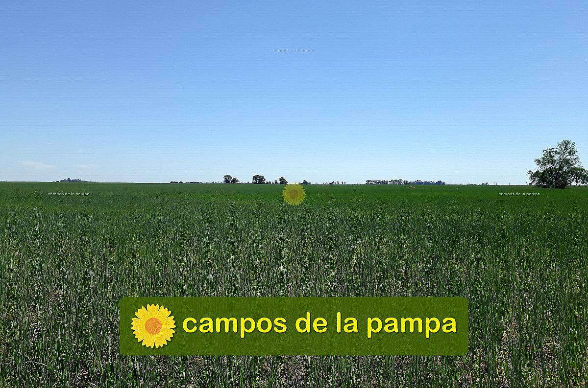 La Pampa - Venta Campo Agricola de 1.000 Hectareas. 1000 hectáreas ...