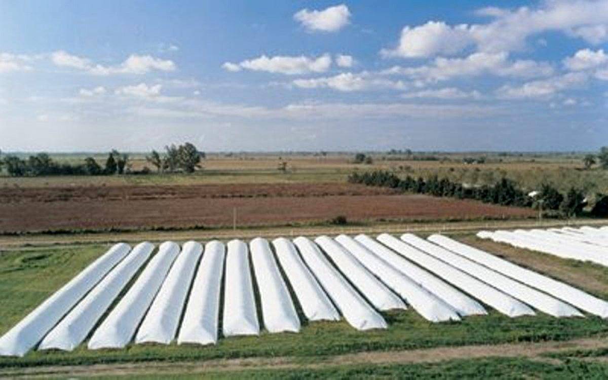 Silos Bolsas de 5 a 9 Pies / Marca Maxima - Exc. Calidad - Agroads