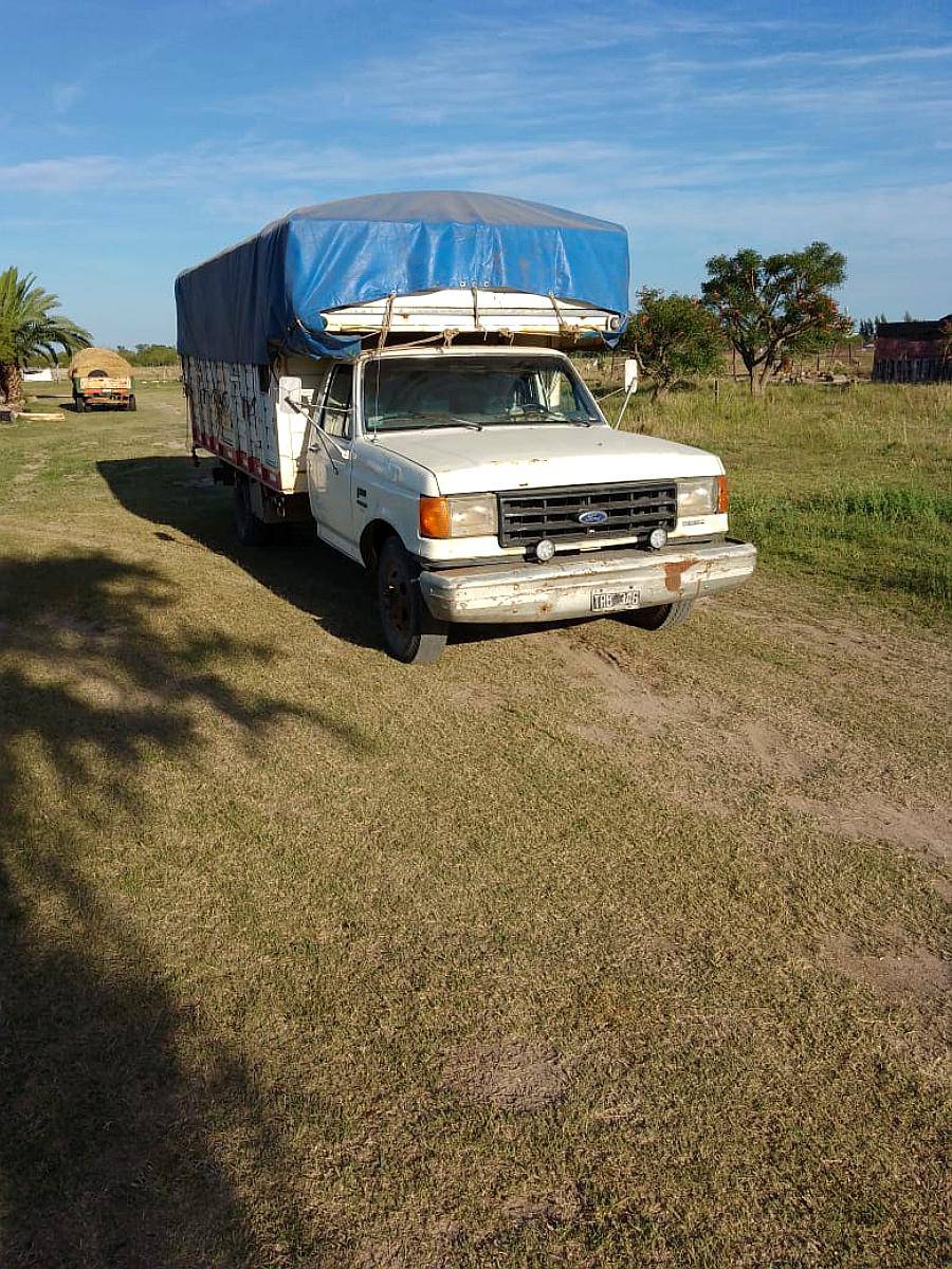 Camión Ford 350 Chasis Largo - Año: 1988 - $ 3.700.000 - Agroads