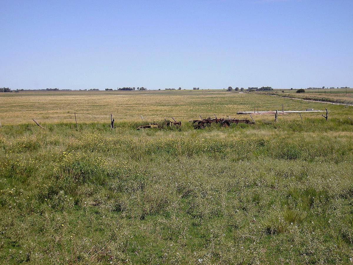 123ha en Rivera Buenos Aires 83 Agricolas 40 Ganaderas - Agroads