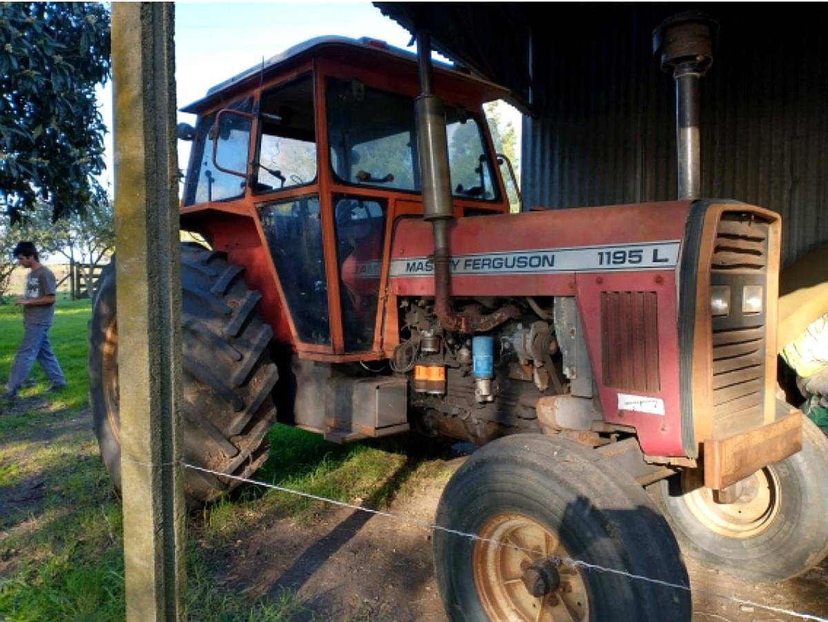 Tractor Massey Ferguson 1195 L año 1889 - Año: 1990 - Agroads