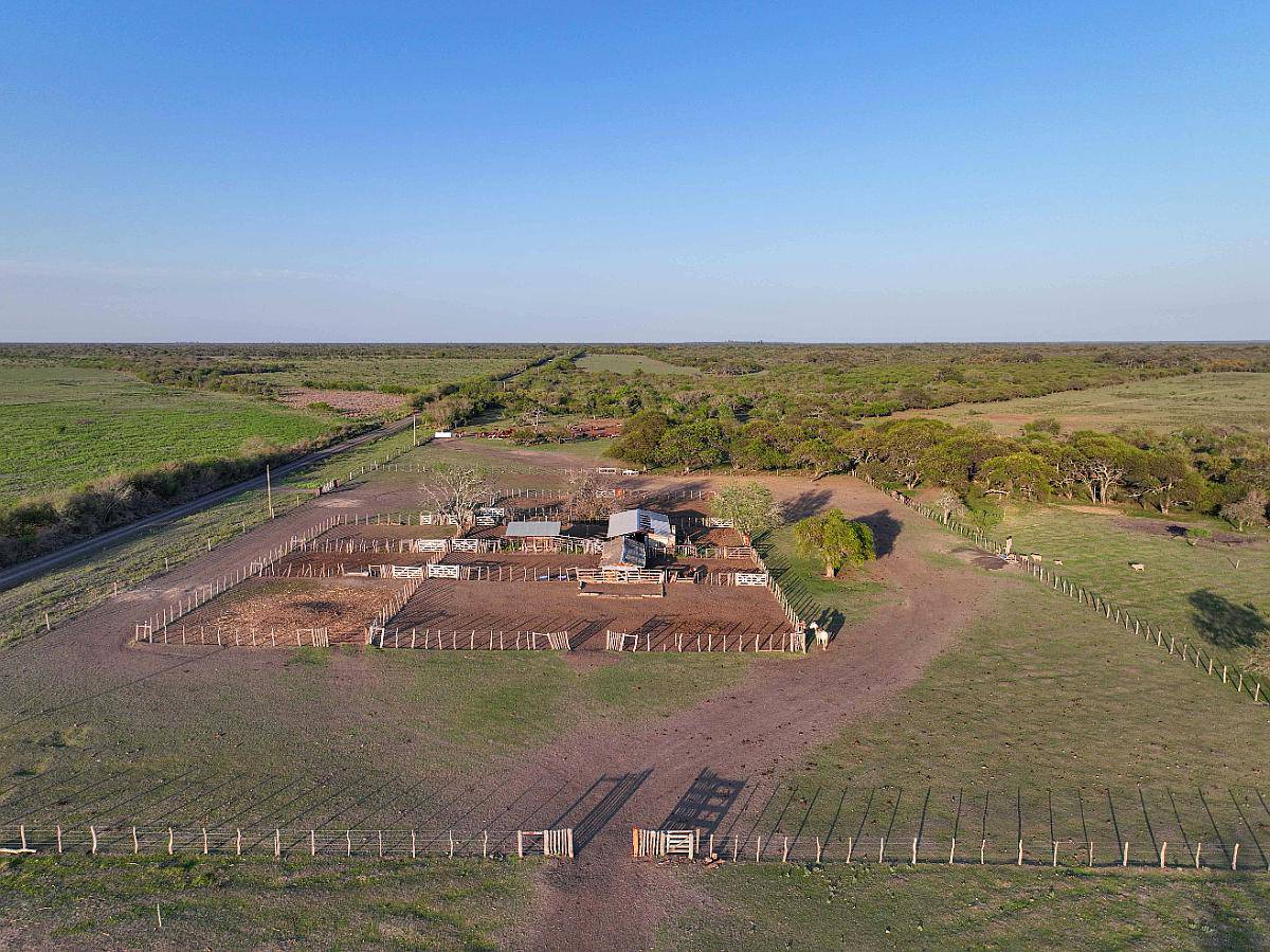 Pcia. de Entre Rios - Federal 1242 Has. 1242 hectáreas. - Agroads