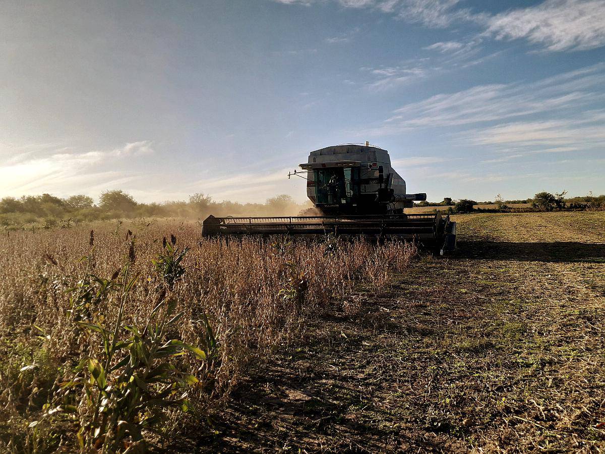 Gleaner R72 Axial Cummins 360hp . 30pies de Corte - Agroads