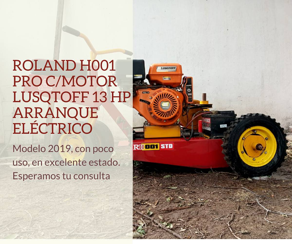 Roland H001 PRO C/motor Lusqtoff 13 HP Arranque Eléctrico - Agroads