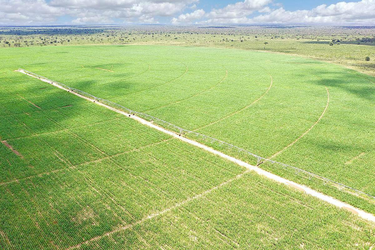Campo Mixto 15000 HA, Recreo, Catamarca. 15000 hectáreas. - Agroads