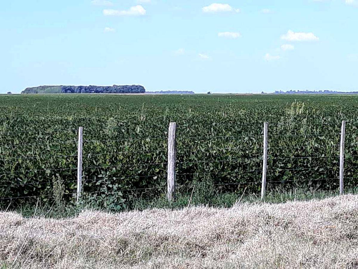 Vende 1000 Hectareas 9 de Julio. 1000 hectáreas. - Agroads