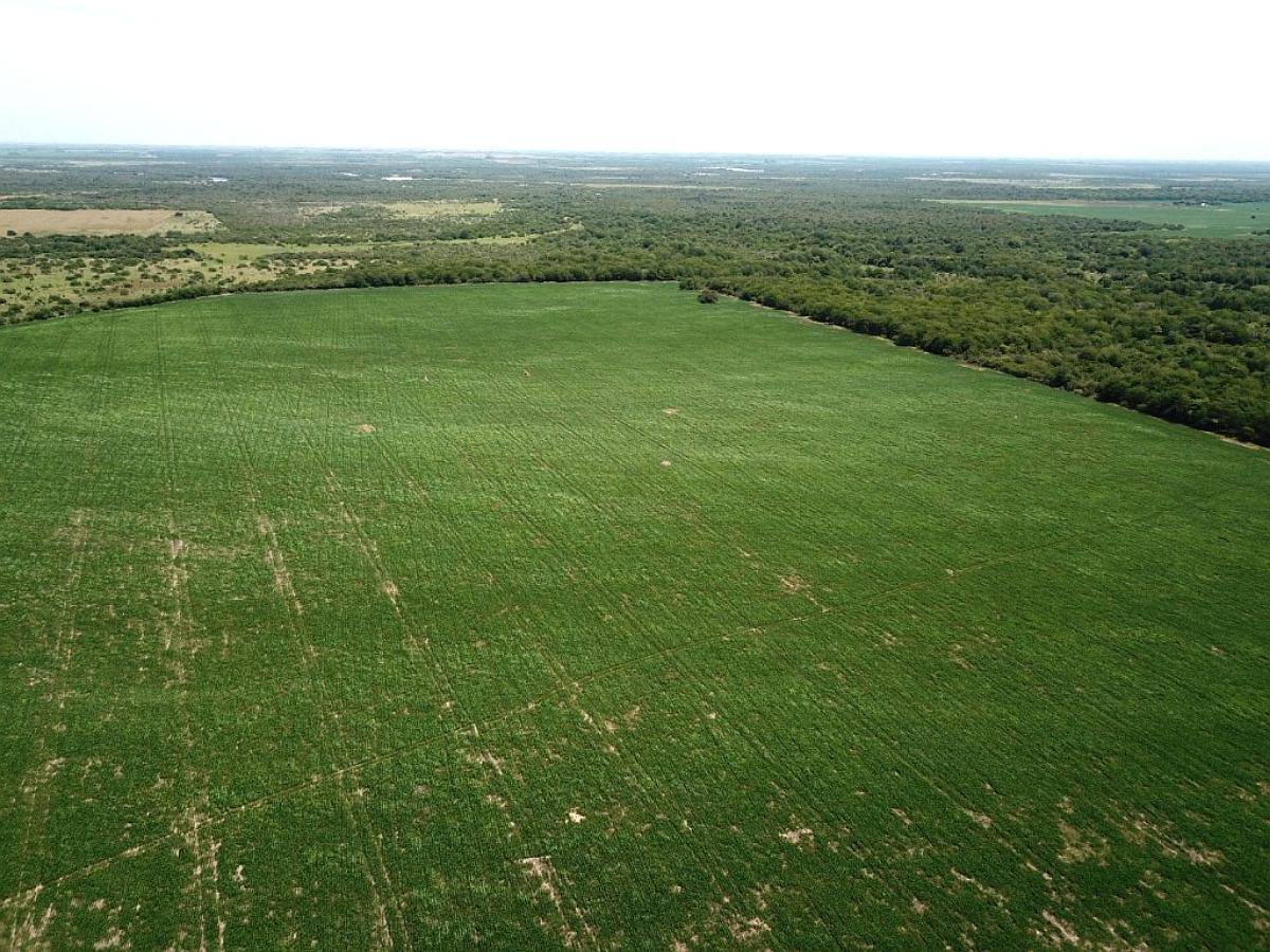 207 Hectáreas Mixtas, Urdinarrain, Entre Ríos. - Agroads