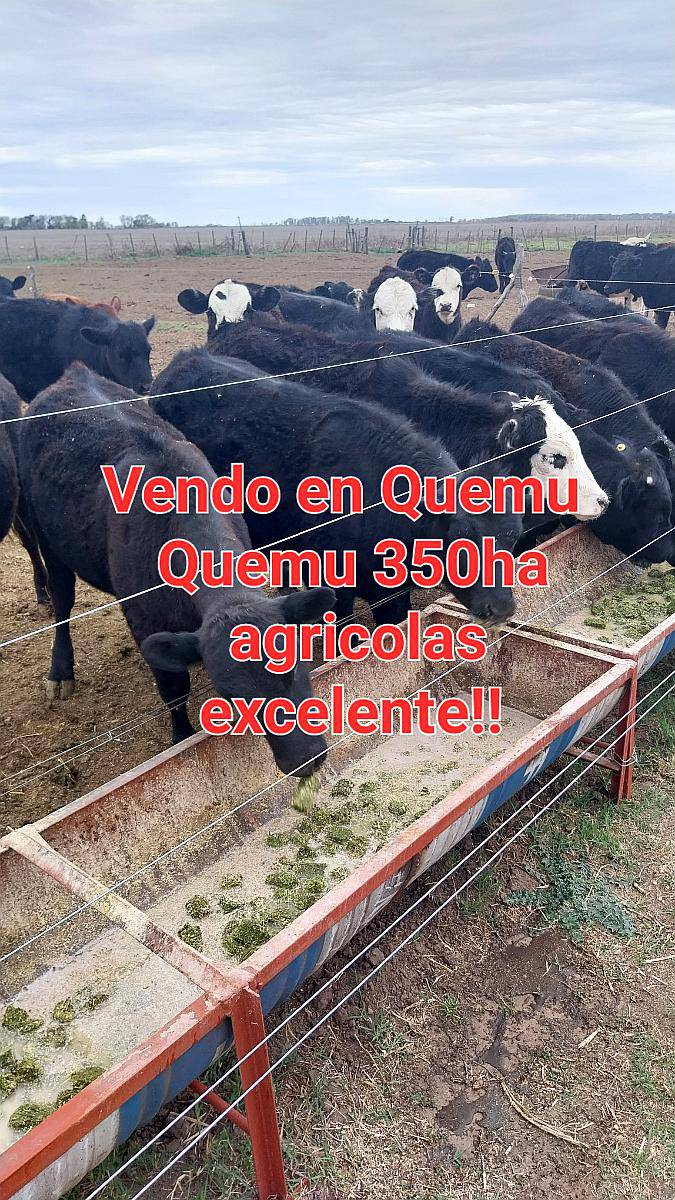 Quemu Quemu la Pampa - $ 6.600 / ha - Agroads