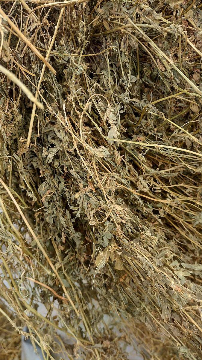 Rollos Enteros de Alfalfa Pura - $ 60.450 - Agroads