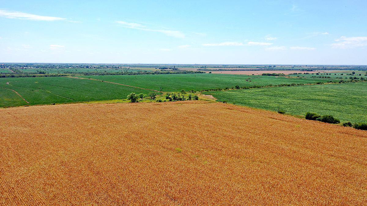 835 Has Campo 85% Agrícola Sobre Ruta en Entre Rios. 835 hectáreas ...