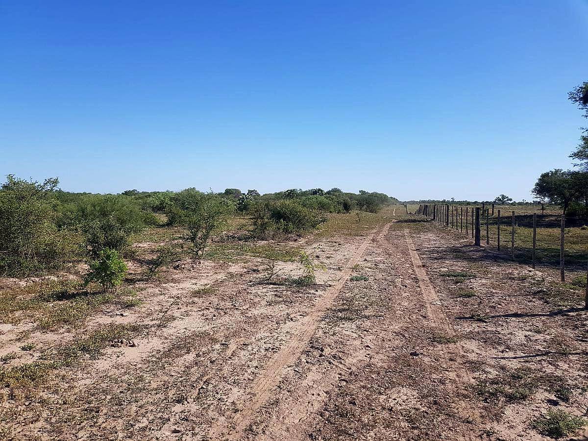 Fernandez, Robles, Santiago del Estero, Argentina - Agroads