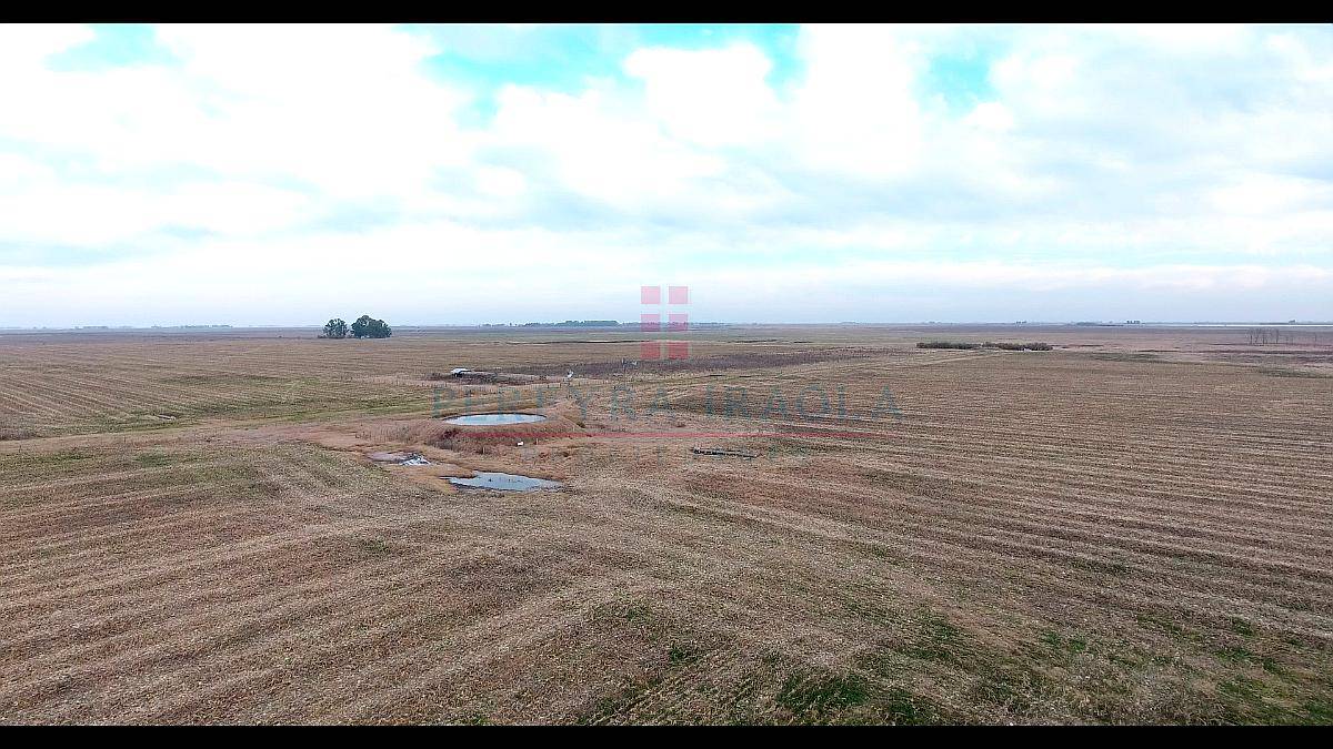 6902ha Campo Mixto en Venta en Lincoln, Pcia. de BS AS. - Agroads