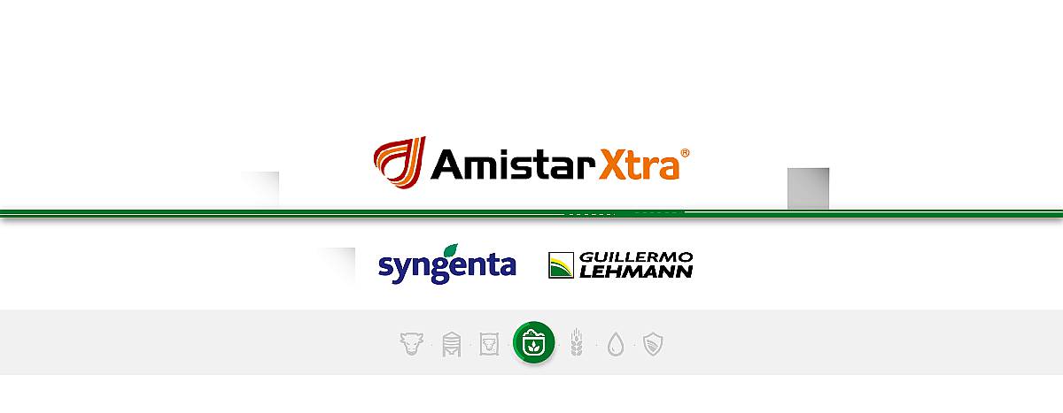 Amistar Xtra - Fungicida Syngenta - Agroads