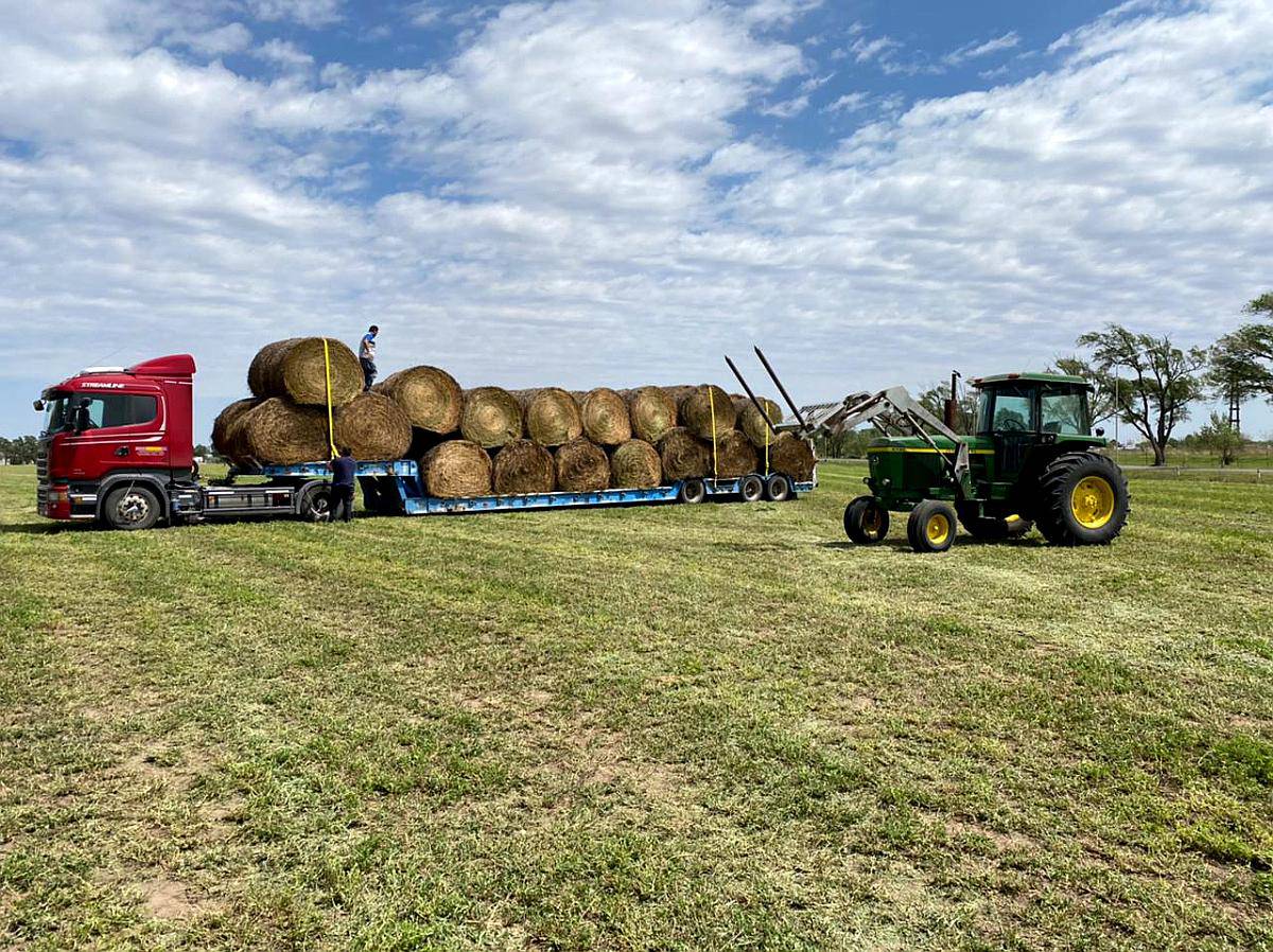 Rollos de Alfalfa Excelente Calidad - $ 6.000 - Agroads
