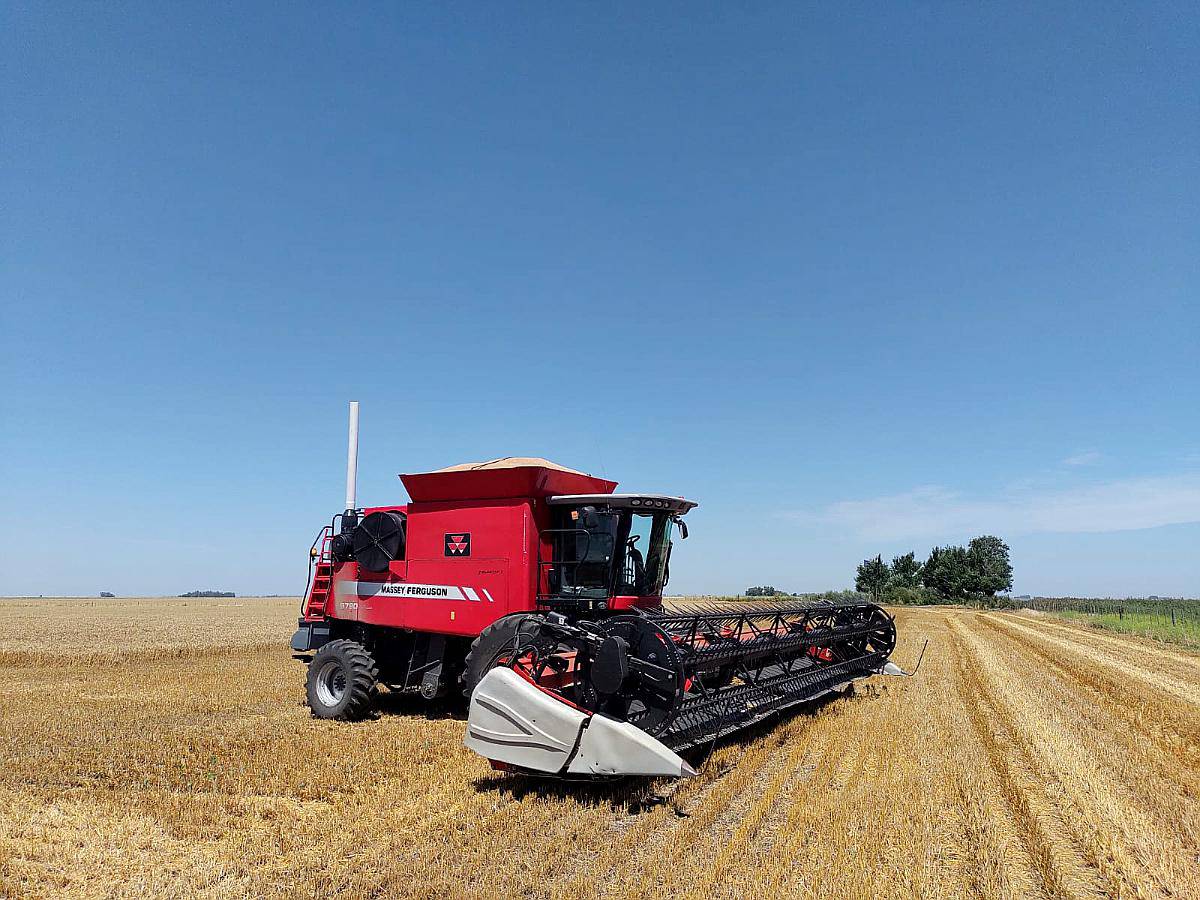 Massey 9790 año 2013. Draper Maizco año 2016. Piloto Sensor - Agroads