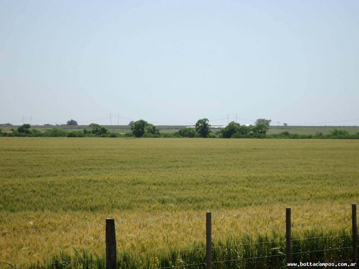 Excelente Campo Agrícola Larroque Entre Rios. 410 hectáreas. - Agroads