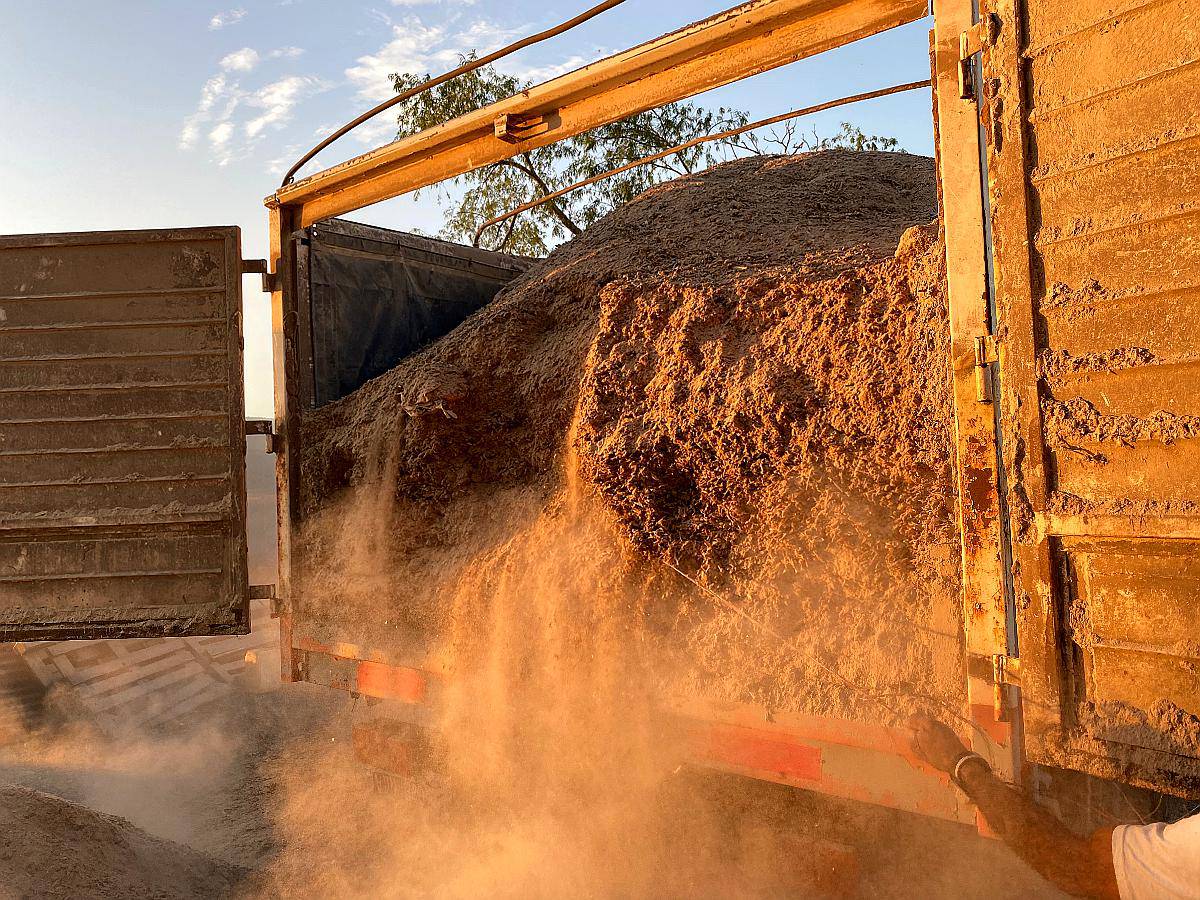 Barrido , Mezcla de Granos y Harinas , Pellet - Agroads