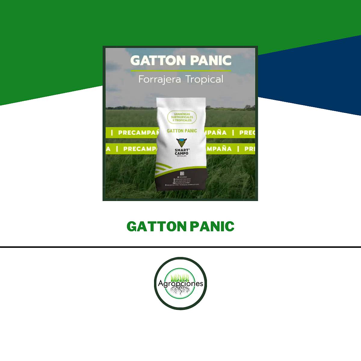 Semilla de Gatton Panic - Agroads