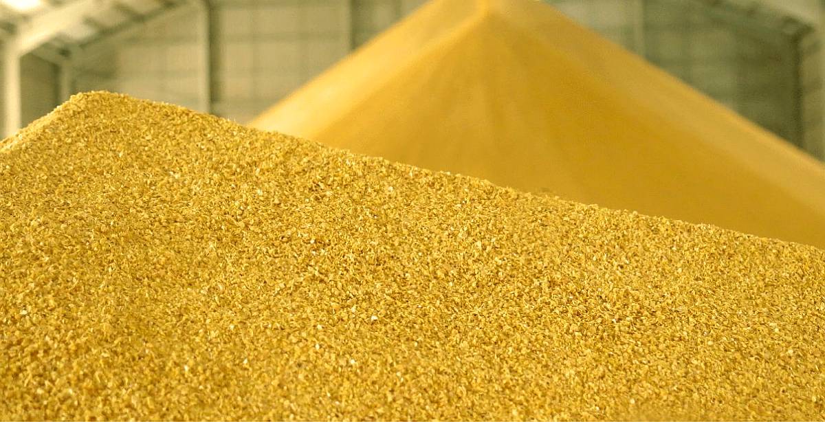 Burlanda de Maiz Seca - Lasna Insumos - MÍN 20/28 TNS - Agroads