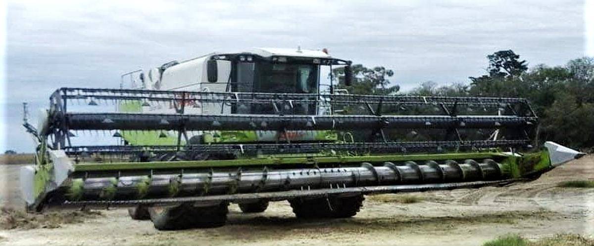 Class Lexion 580 año 2006- Motor MB 340 HP 4300 Hs - 35 Pies - Agroads