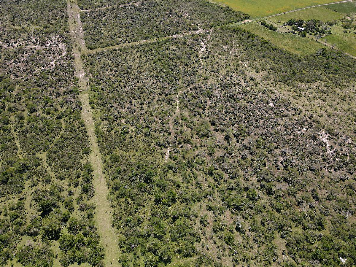 Campo Ganadero, Crucecita Séptima. Entre Rios - Agroads